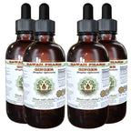 alcohol-free ginger tea extract