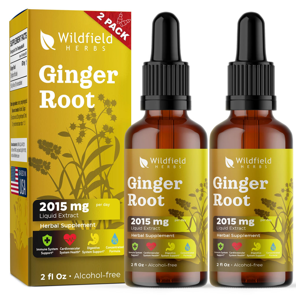 alcohol-free ginger tincture benefits