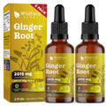 alcohol-free ginger tincture benefits