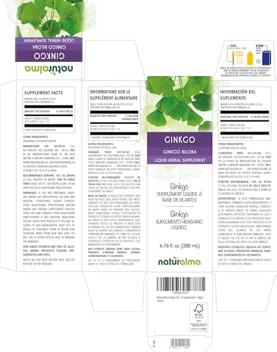 alcohol-free ginkgo biloba extract