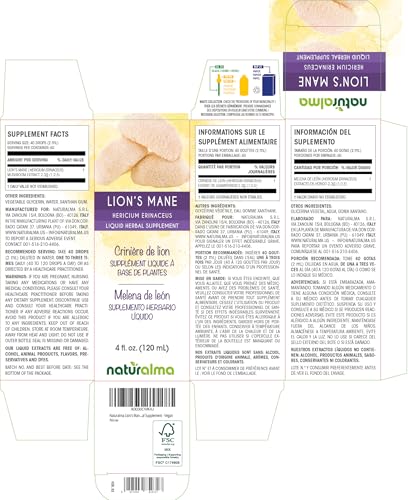 alcohol-free herbal mushroom extract