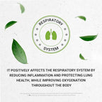 alcohol-free herbal remedy solution