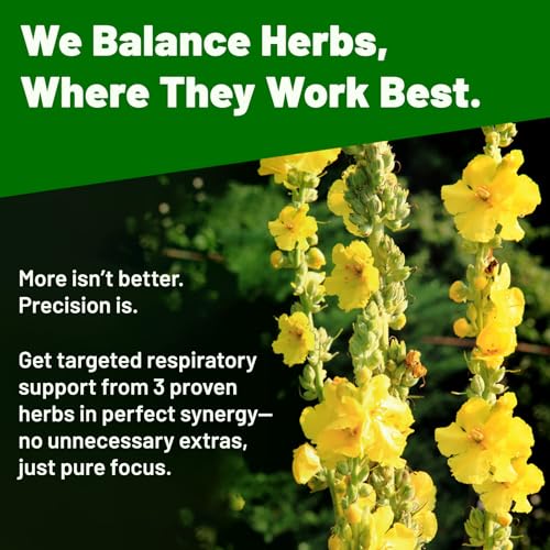 alcohol free herbal supplement mullein
