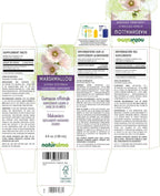 Alcohol-free marshmallow root extract