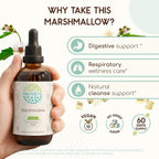 alcohol-free marshmallow root tincture