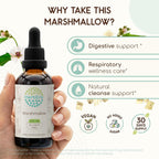 alcohol-free marshmallow root tincture
