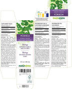 alcohol-free moringa extract for wellness
