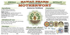alcohol-free Motherwort tincture benefits