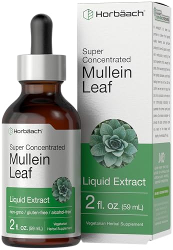 alcohol-free mullein tincture for wellness