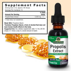 alcohol-free multivitamin for men