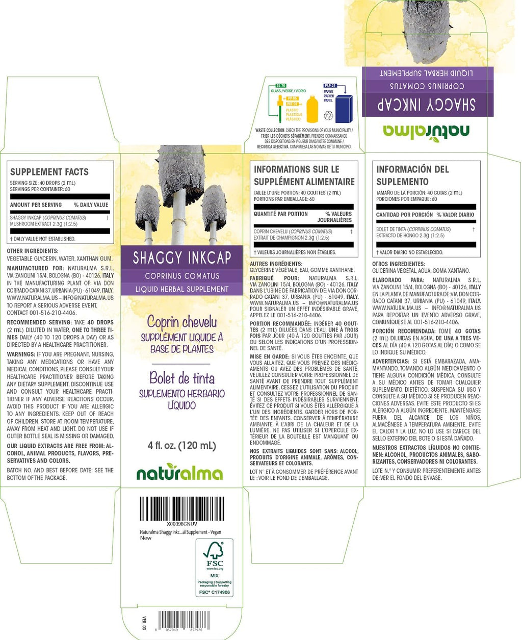 Alcohol-free mushroom extract benefits