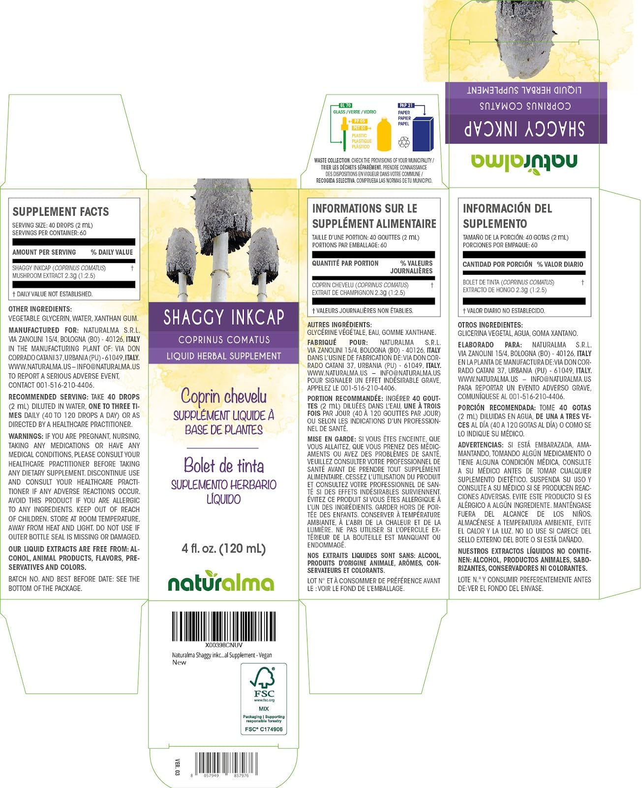 Alcohol-free mushroom extract benefits