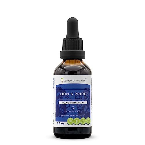 alcohol-free mushroom extract benefits