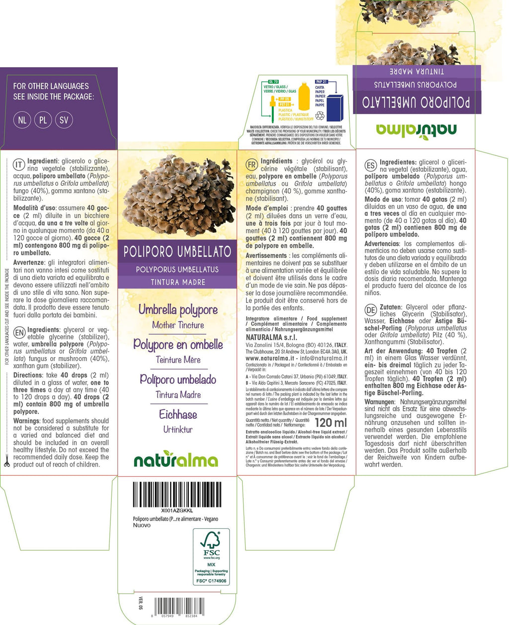alcohol-free mushroom extract benefits