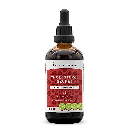 Alcohol-free mushroom extract for health