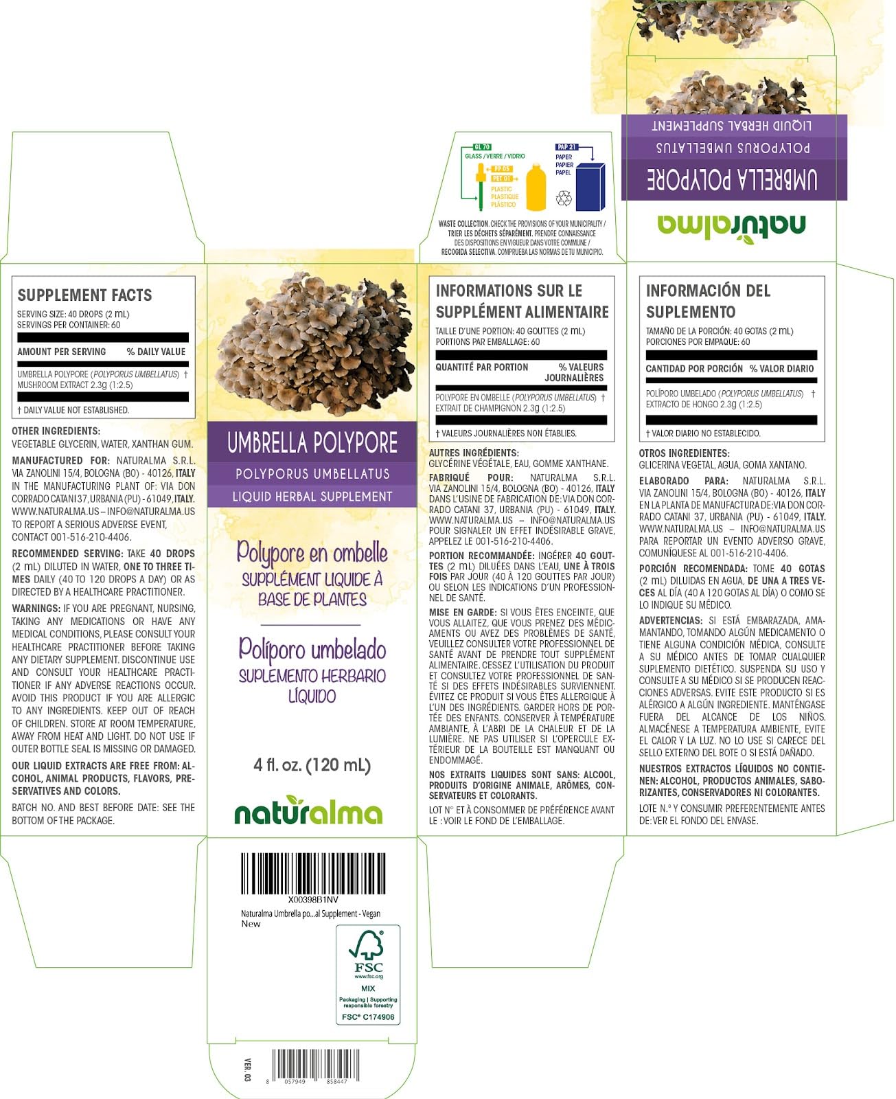 Alcohol-free mushroom extract for health