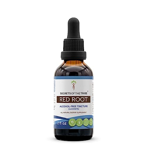 Alcohol-free mushroom extract for wellness
