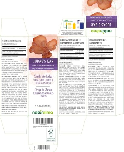 Alcohol-free mushroom tincture for vitality
