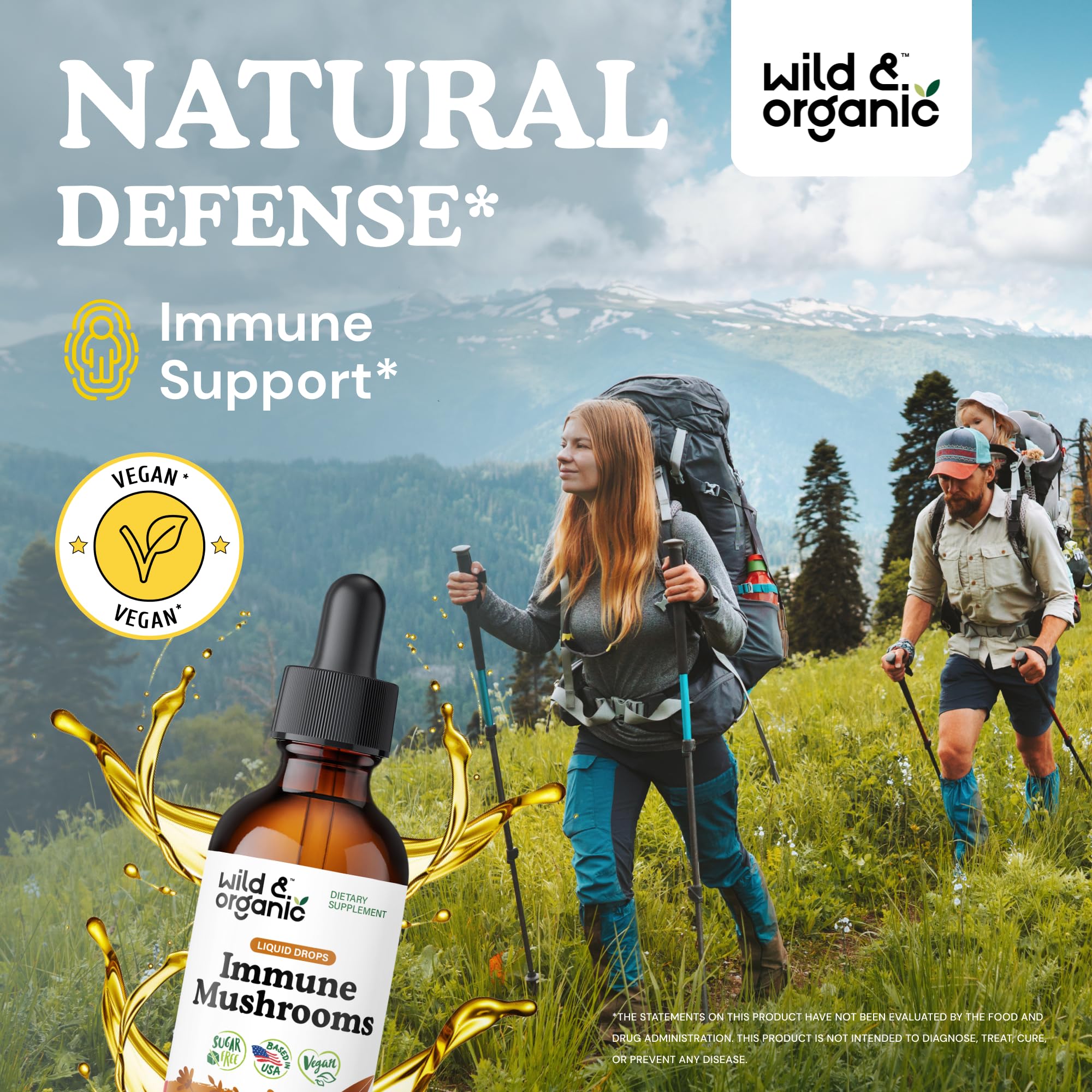 Alcohol-free mushroom tincture for wellness