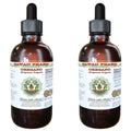 alcohol-free oregano oil extract