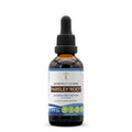 alcohol-free parsley root tincture