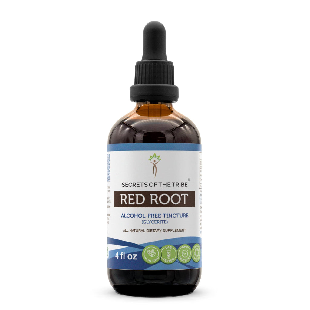 alcohol-free red root tincture benefits