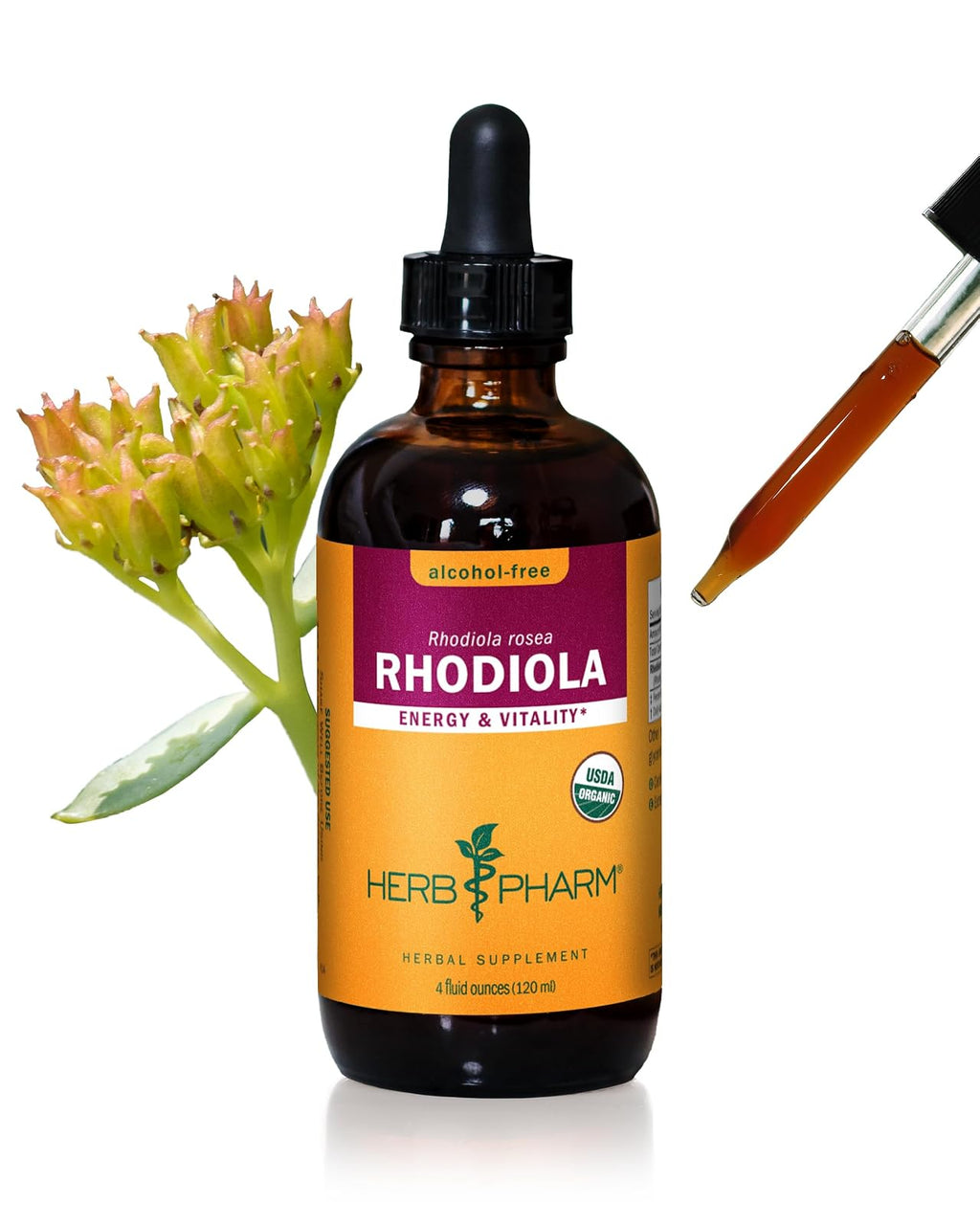 alcohol-free rhodiola root extract