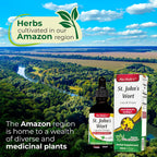 alcohol free St. John's Wort capsules
