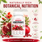 Alevia pomegranate multivitamins for health