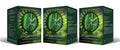 alfalfa capsules for pH balance