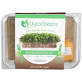 alfalfa microgreen growing kit