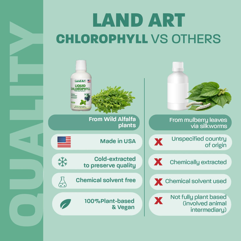 Alfalfa mint chlorophyll for wellness