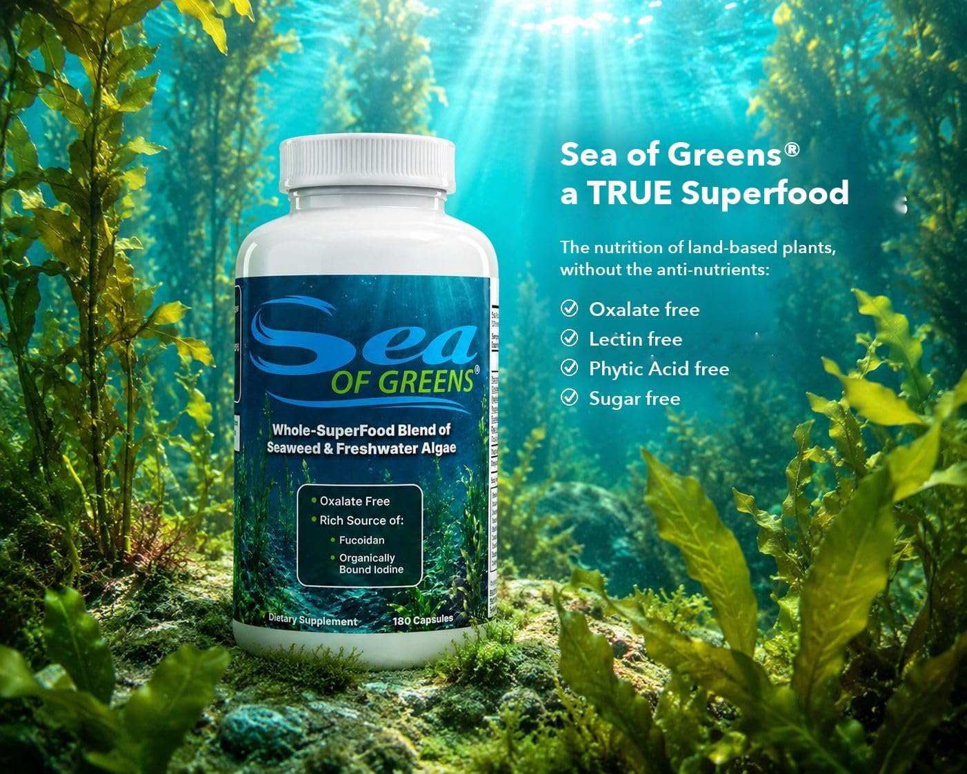 algae blend for thyroid support