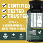 algae omega 3 DHA benefits