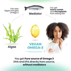 algae omega 3 fish oil alternative