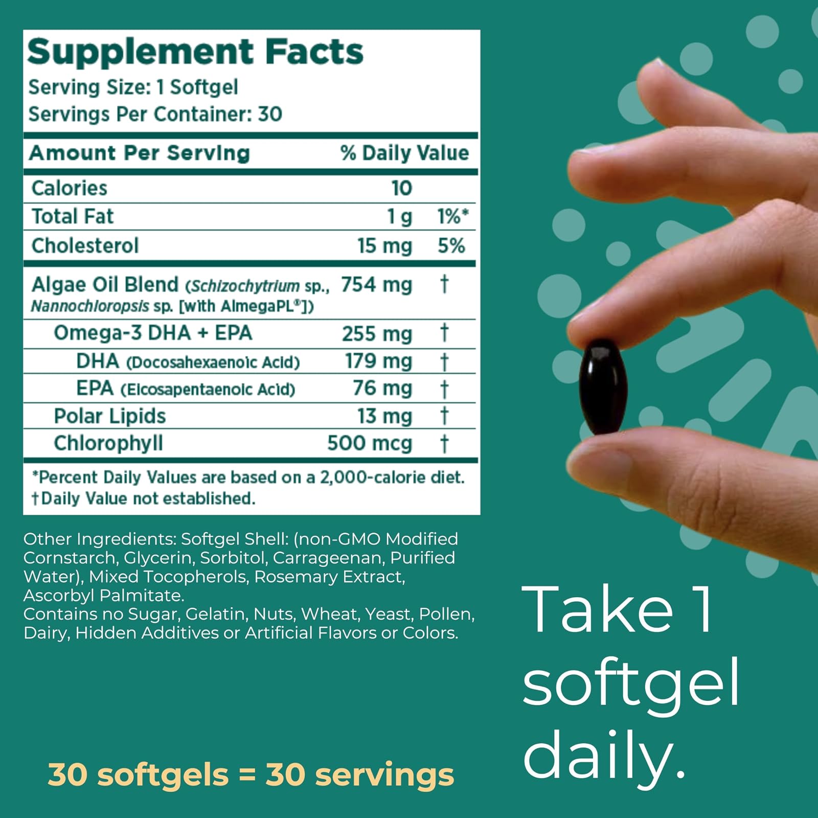 algae omega 3 for daily wellness