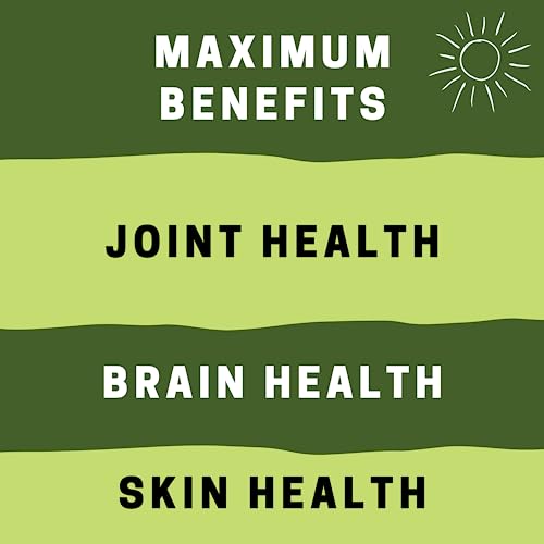 algae omega 3 for heart health