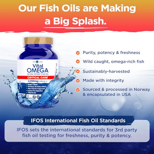 algae omega 3 vegan alternative