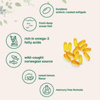 algae omega 3 vegan alternative