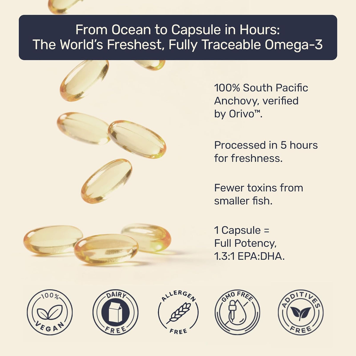 algae omega 3 vegan alternative