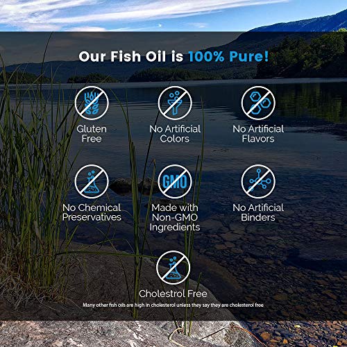 algae omega 3 vegan alternative