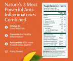 algae omega 3 vegan alternative