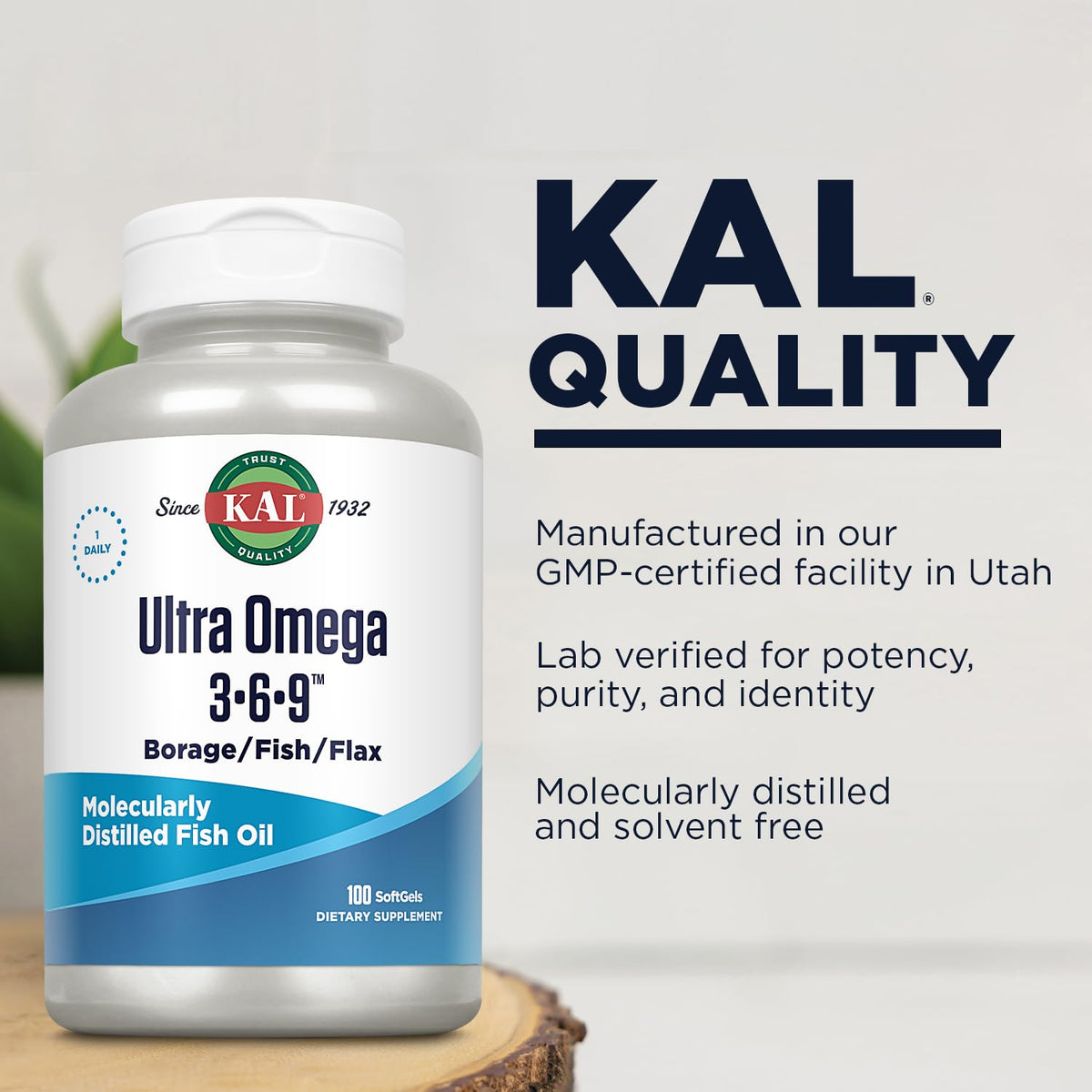 Algae omega 3 vegan alternative