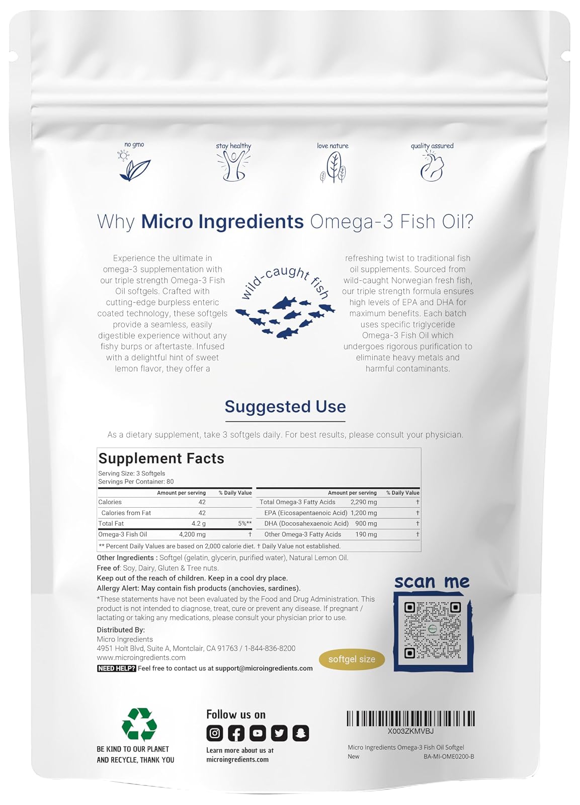 algae omega 3 vegan alternative