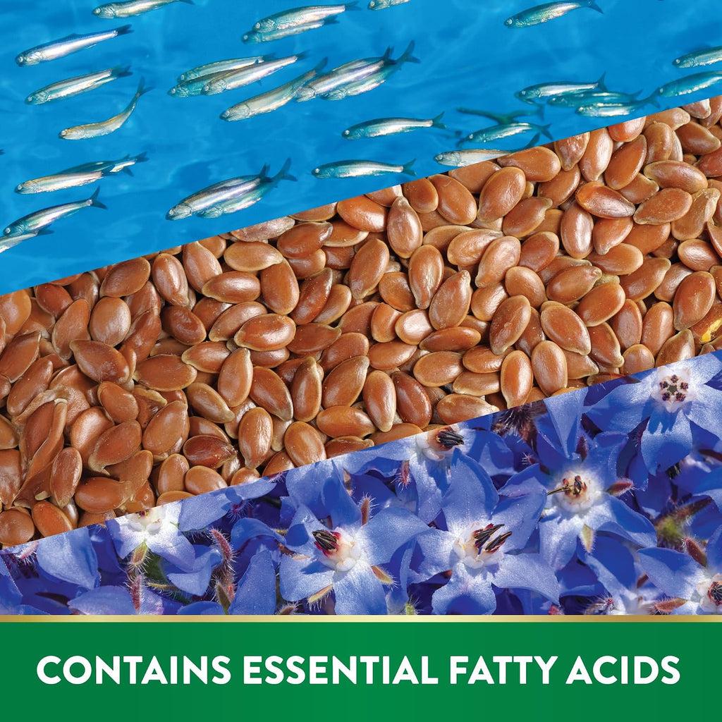 Algae omega 3 vegan alternative