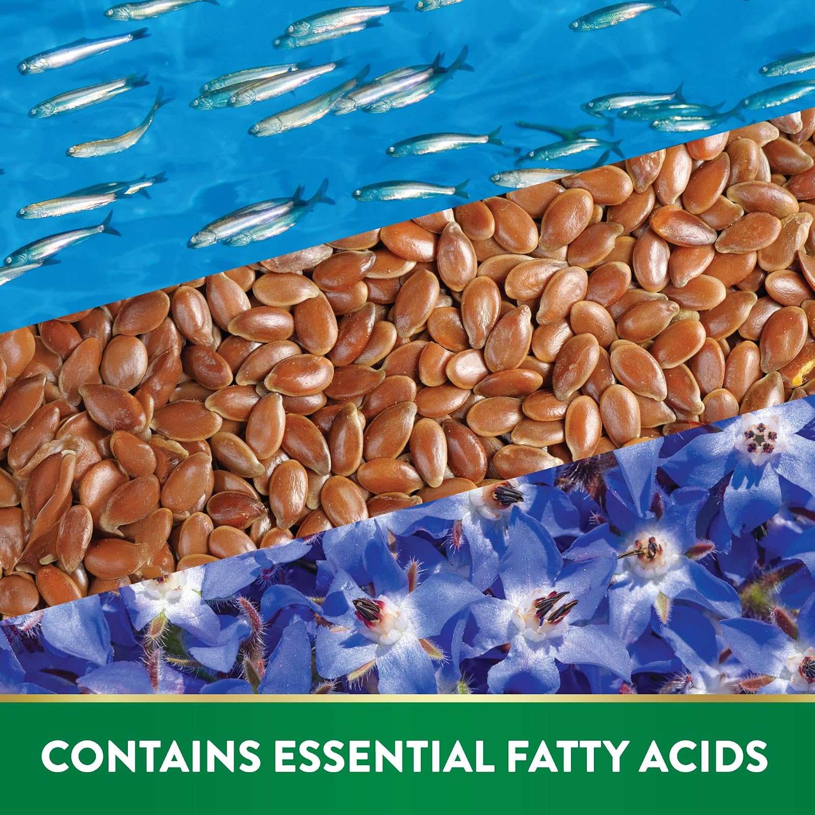 Algae omega 3 vegan alternative