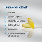 Algae omega 3 vegan alternative