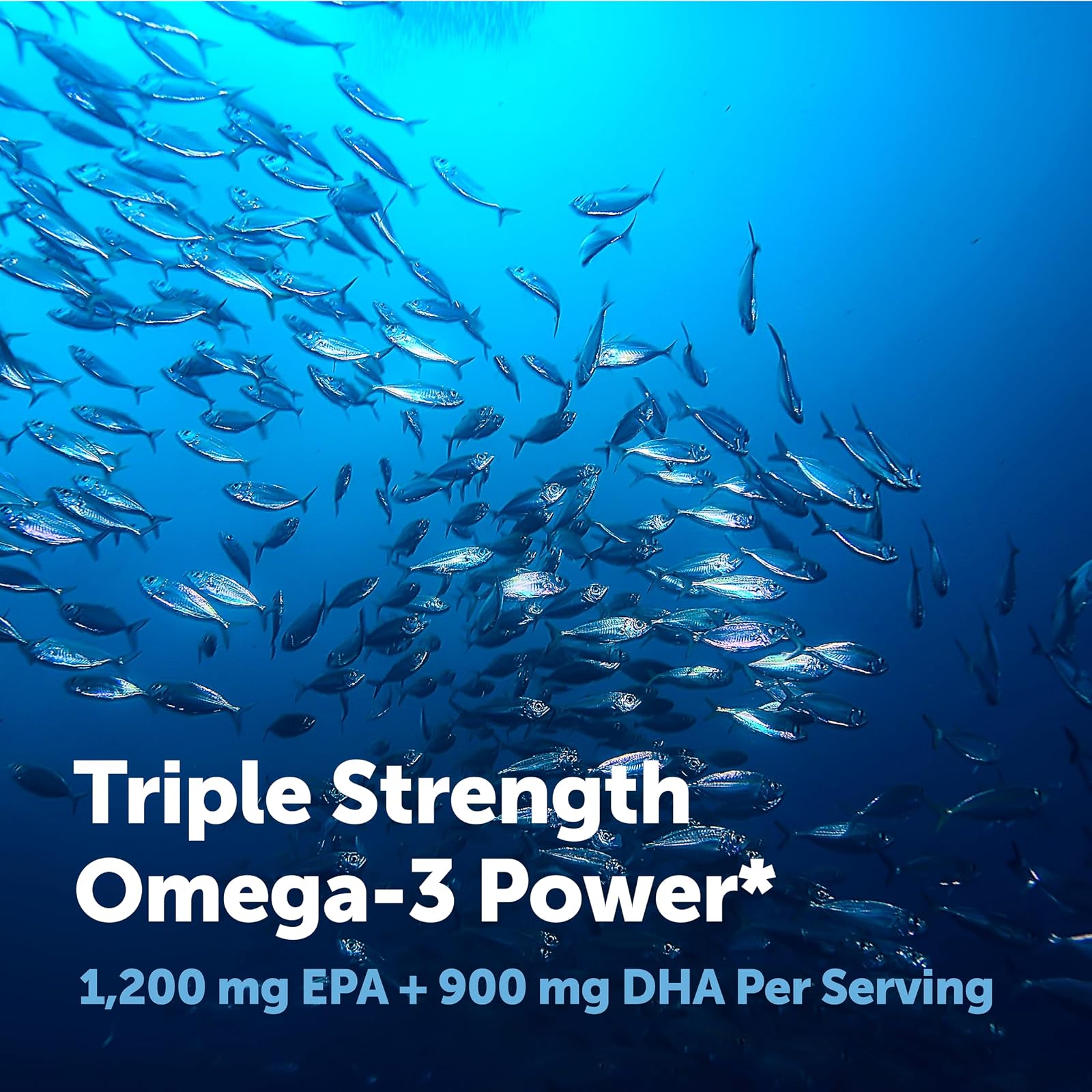 algae omega 3 vegan alternative