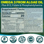 Algae omega 3 vegan supplement