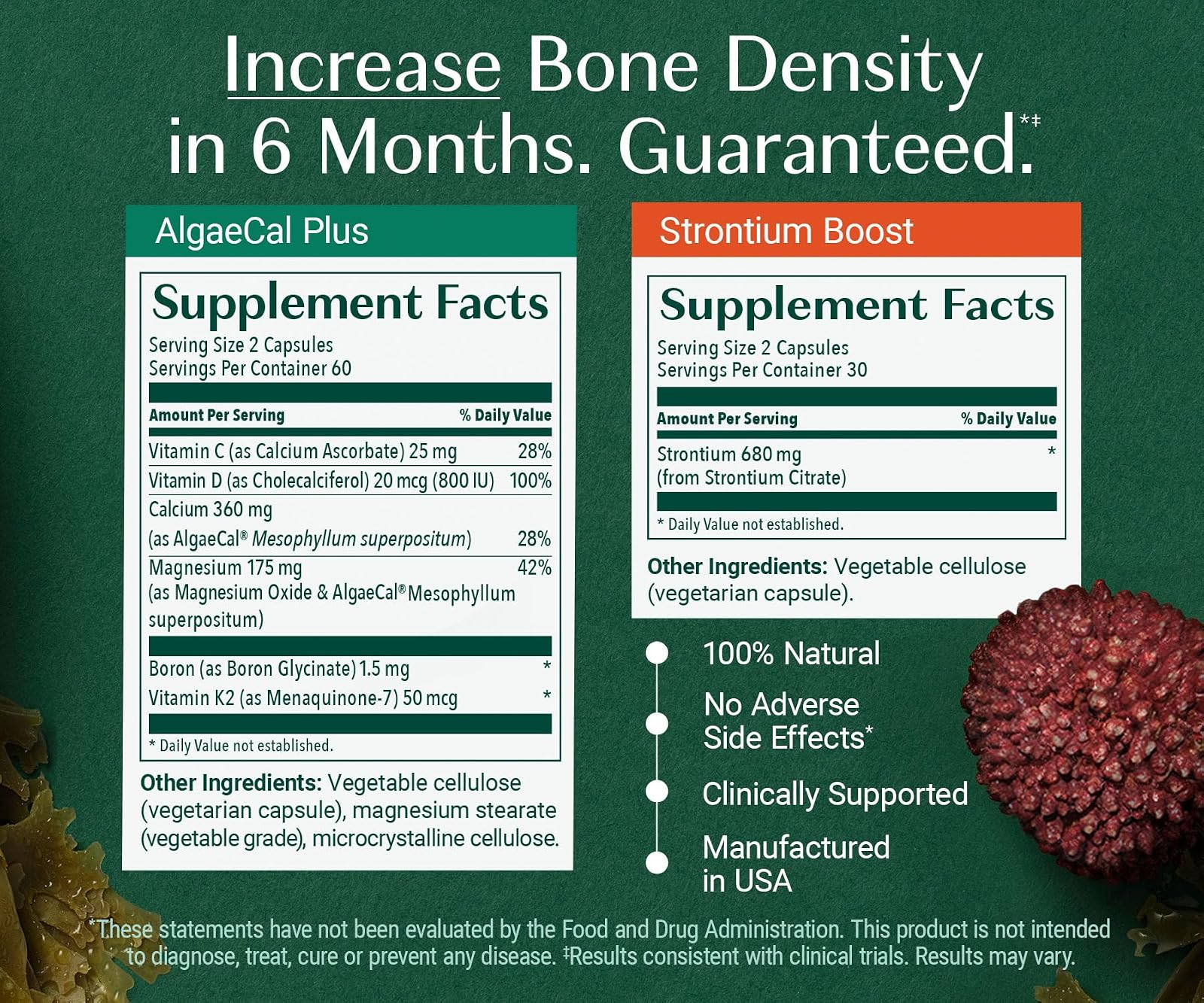 ALGAECAL capsules for healthy bone density